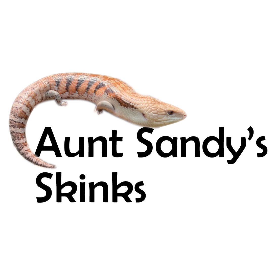Home - Aunt Sandy's Skinks